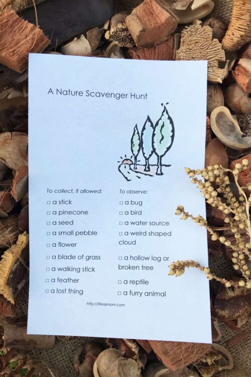 Nature Scavenger Hunt: Free Printable - Life as Mom