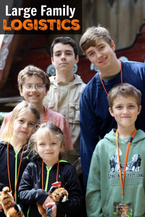 Large Family Logistics | How Big Families Are