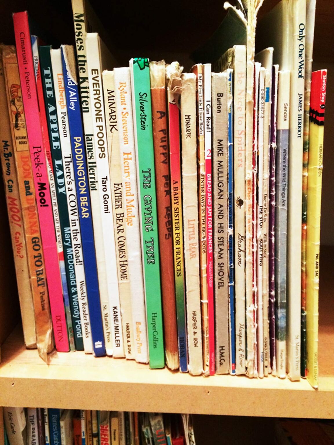 How to Organize Books for Homeschool - Life as Mom