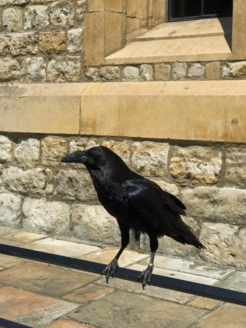 Things to Do in London with Kids - Life as Mom